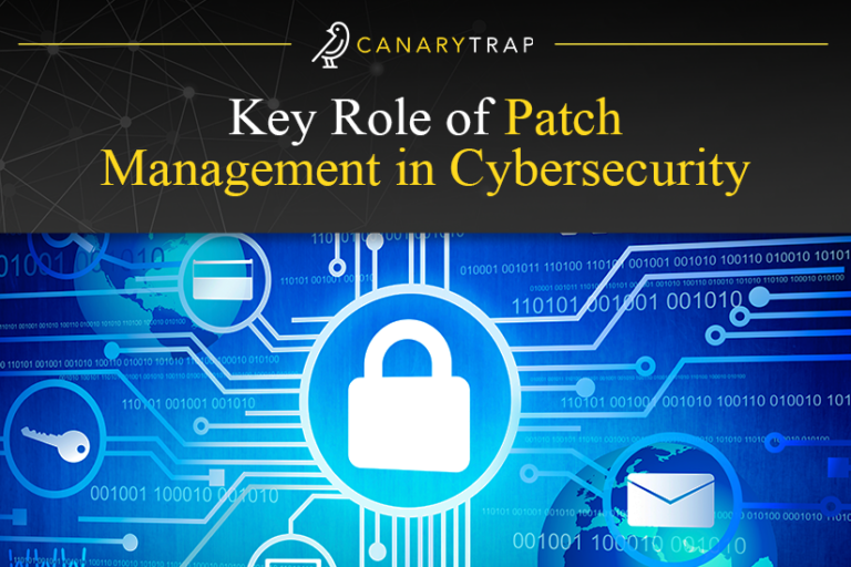 Key Role of Patch Management in Cybersecurity - Canary Trap