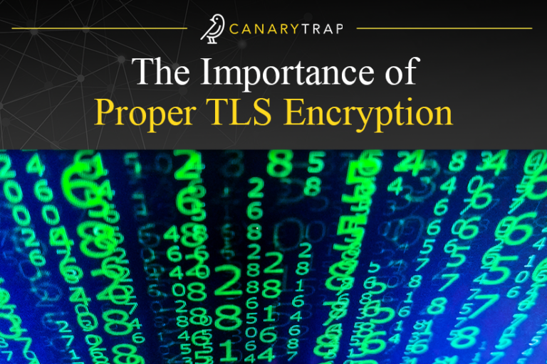 The Importance of Proper TLS Encryption - Canary Trap