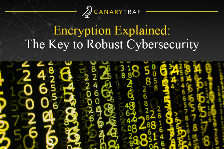 Encryption Explained: The Key to Robust Cybersecurity - Canary Trap
