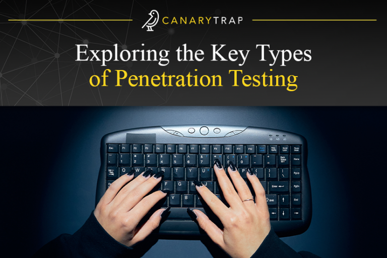 Exploring the Key Types of Penetration Testing - Canary Trap